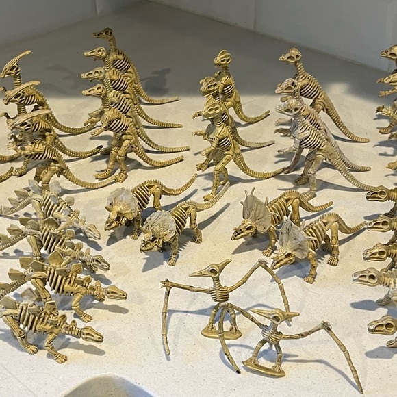 Toys | Dinosaur Skeletons Set Of 34 12 Varieties | Poshmark